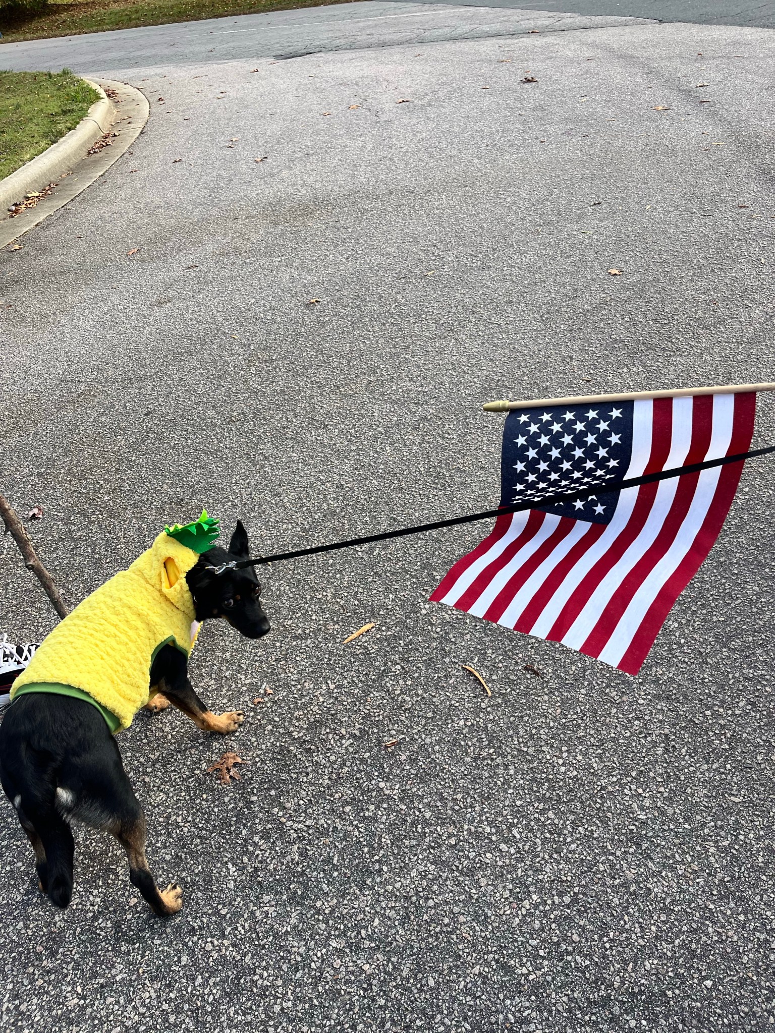 Thoughts on Visiting my Alma Mater for Homecoming Weekend - The Pink ...