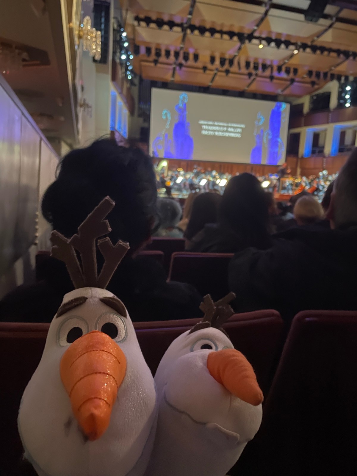 I Saw Disney's Frozen in Concert at The Kennedy Center! - The Pink ...