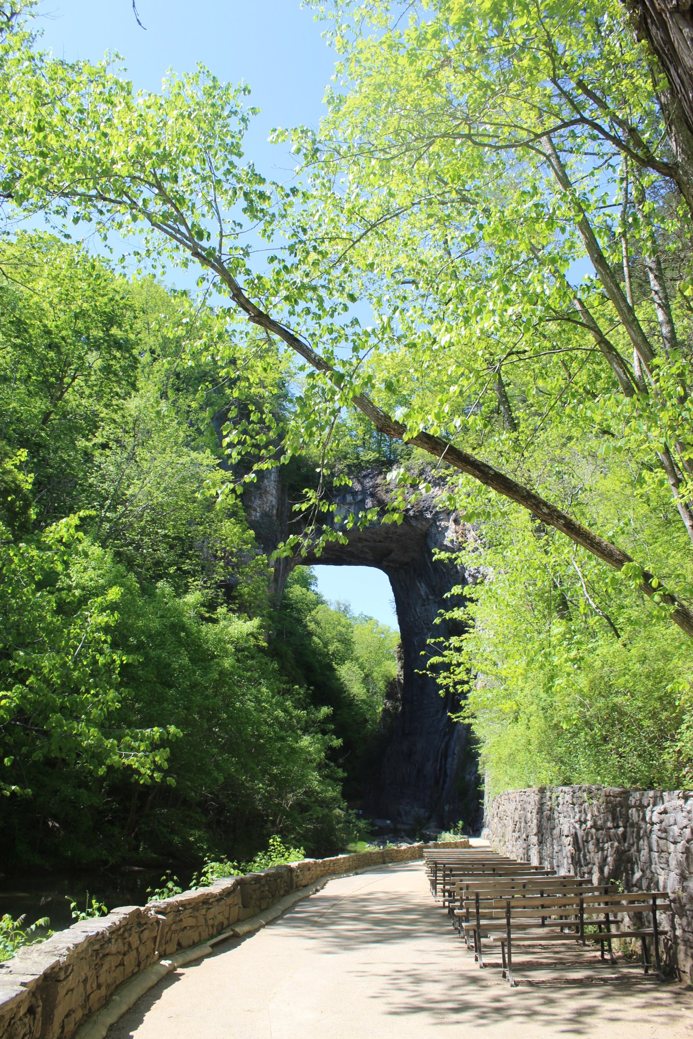 Travel Diary: Natural Bridge State Park, Virginia - The Pink Chickadee