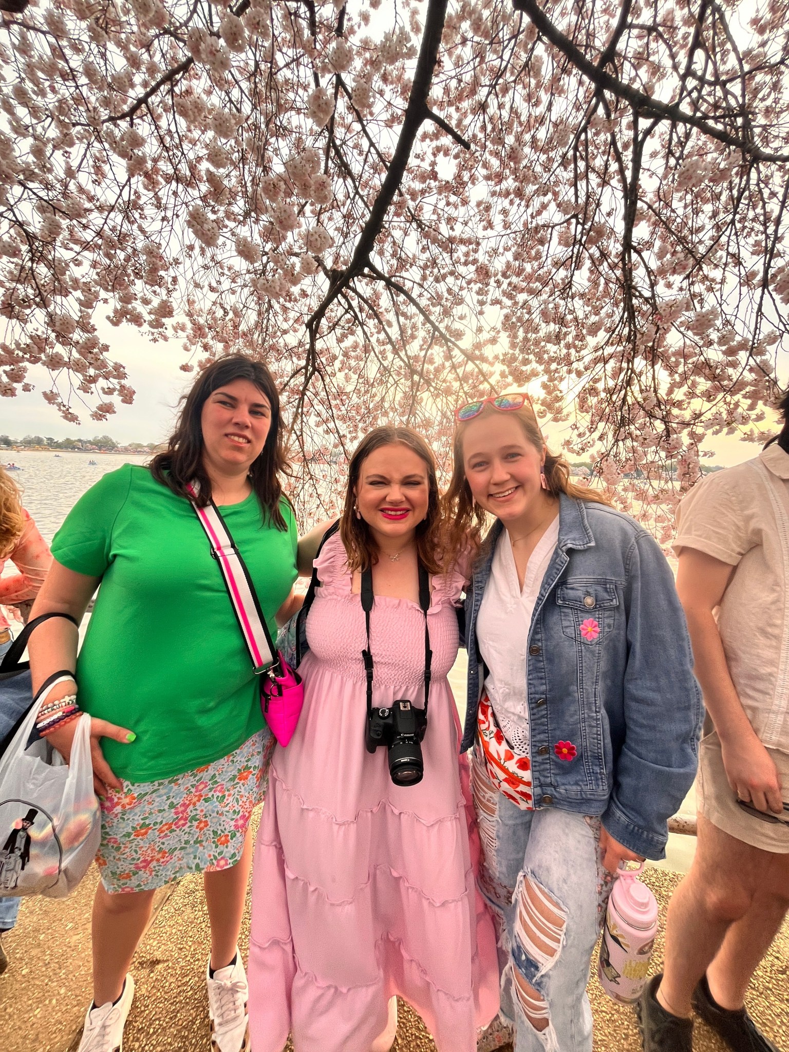 A Local's Guide To The Washington, DC National Cherry Blossom Festival ...