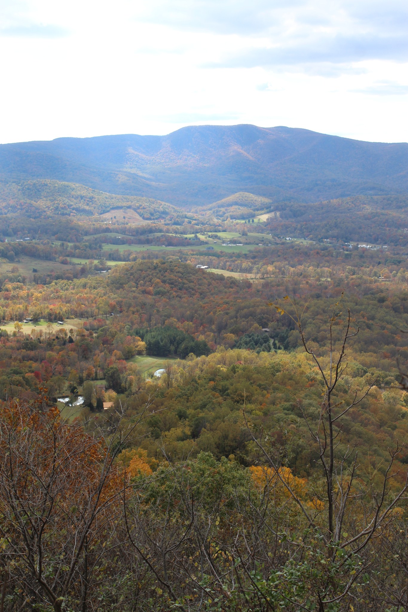 Shenandoah National Park Skyline Drive Travel Guide - The Pink Chickadee